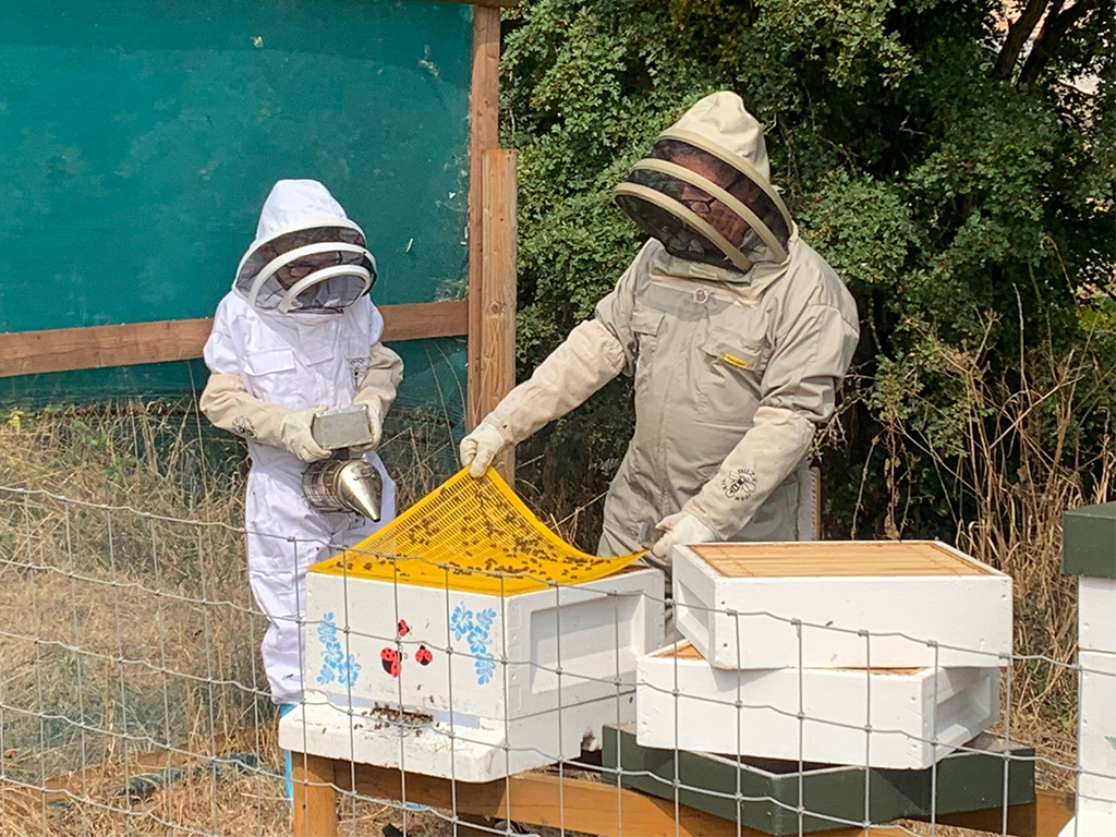 Beekeeping clothing and how to take care of them - blog | Simon The ...