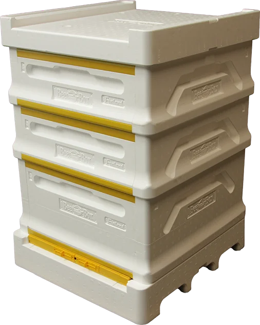 Paradise Honey National Hive With 1 Brood & 2 Supers with Frames & Fou ...